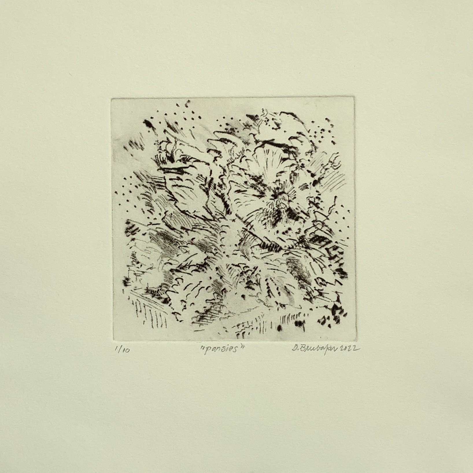 032-david-brubaker-pansies-mini-gems-2022 – Society of American Graphic ...