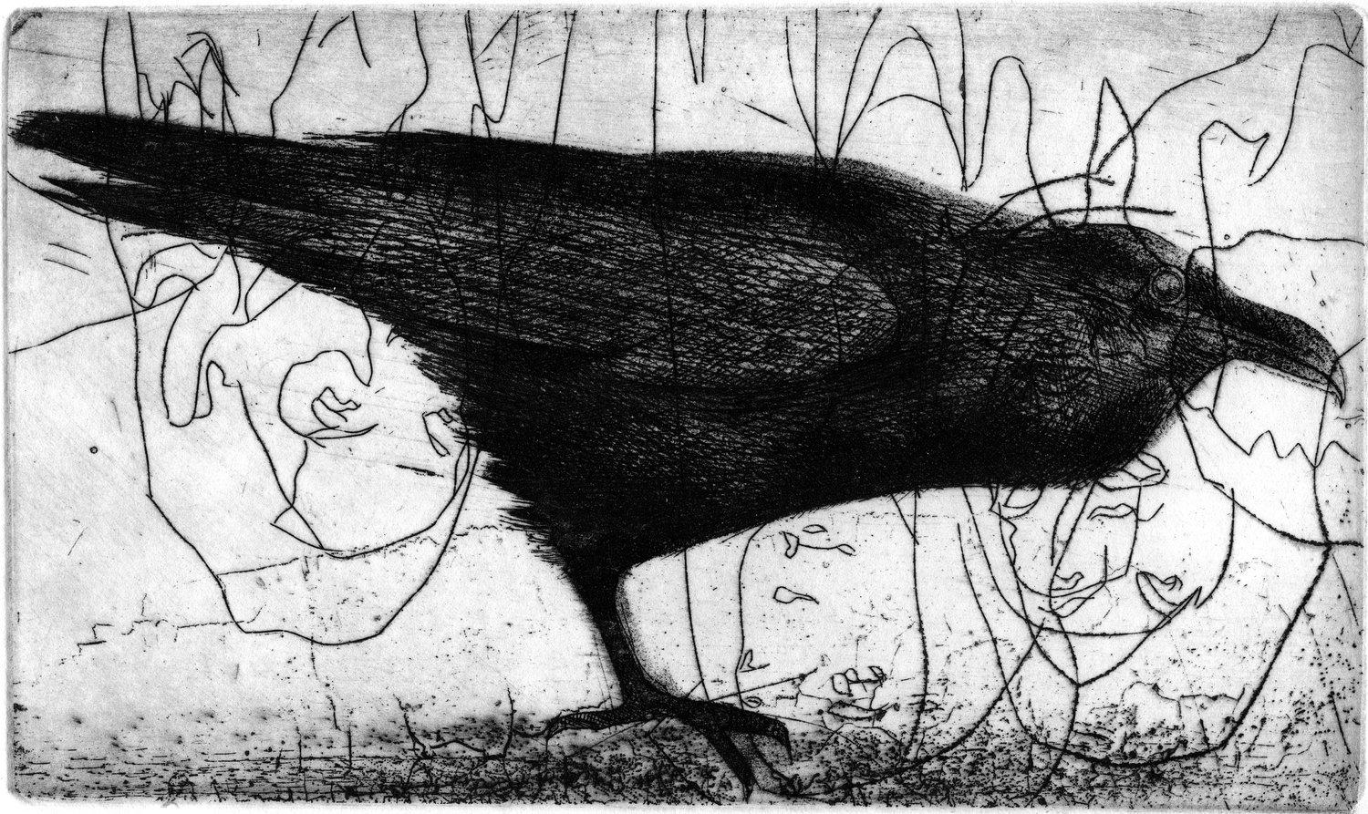 brian-cohen-01-artist-page – Society of American Graphic Artists